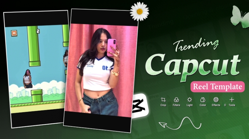 Angry Bird Game Reels Capcut Template | Instagram Trending Reels ...